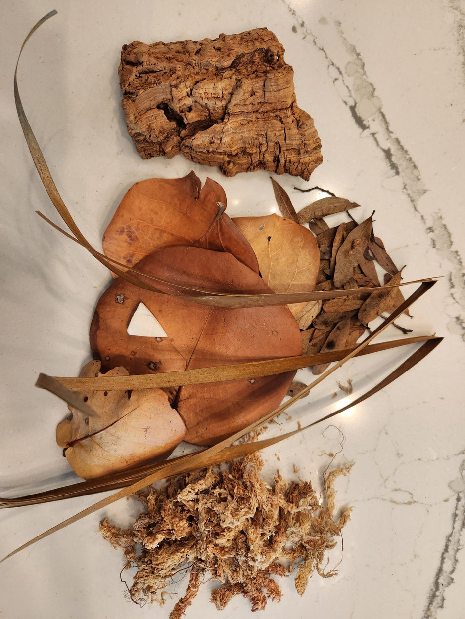 Products – Page 2 – IHEARTBUGS, INC.